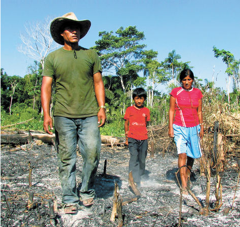 Pando, Amazonia, desarrollo y turismo sostenible | Urgentebo